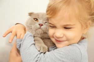 What is Cat Bunting? - Ultimate Pet Nutrition