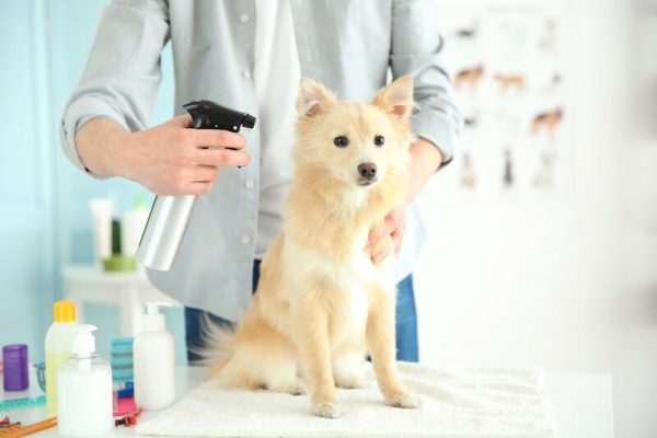 DIY Dog Bathing: Homemade Dog Shampoo Recipes - Ultimate Pet Nutrition