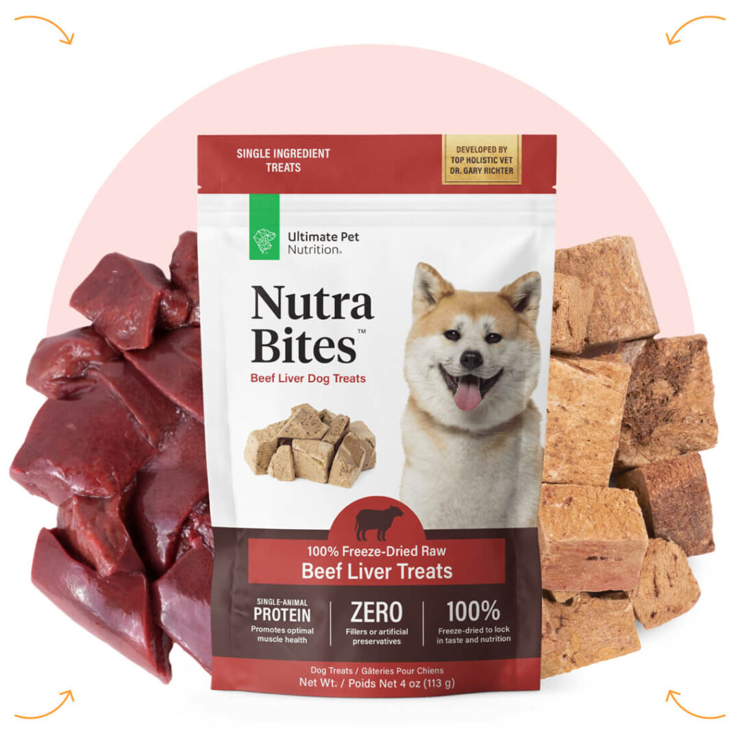 Nutra Bites | Freeze Dried Beef Liver Dog Treats