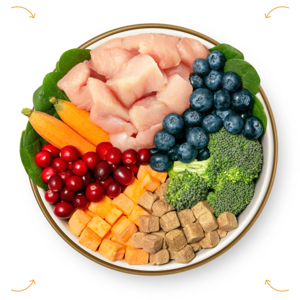 Nutra Complete | Premium Freeze-Dried Chicken Dog Food